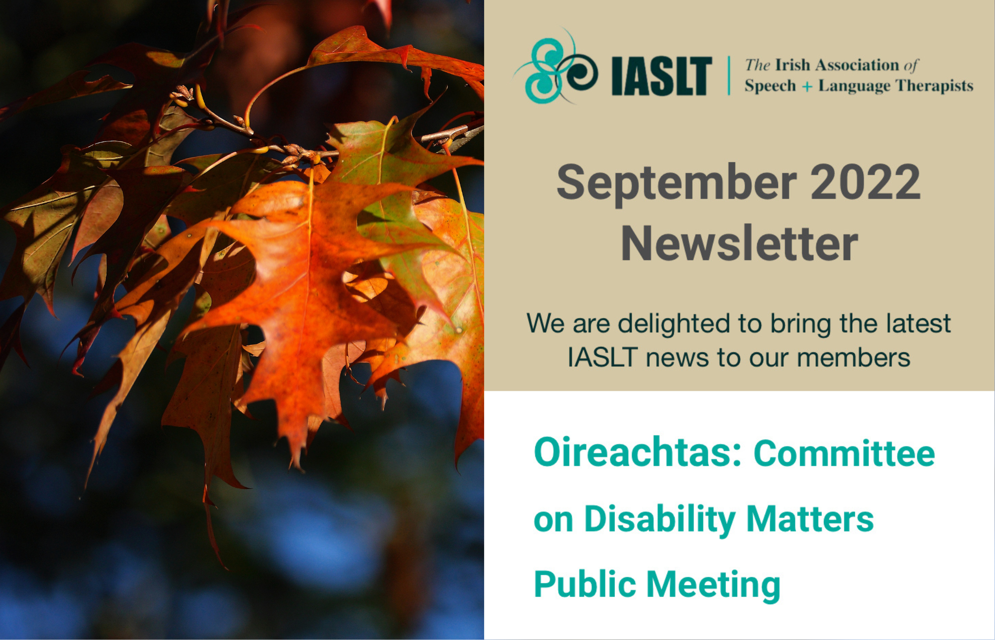 What's New ? | IASLT News - Irish Association of Speech & Language ...