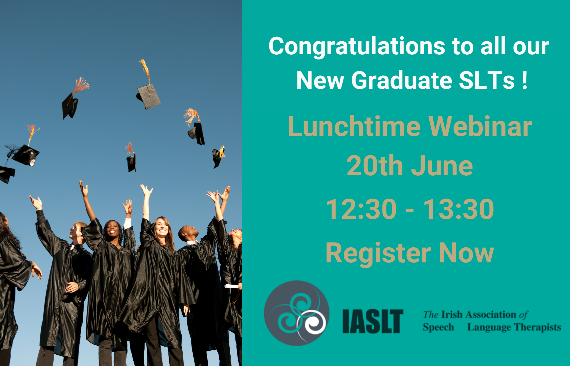 Learning Centre | Irish Association of Speech & Language Therapists (IASLT)